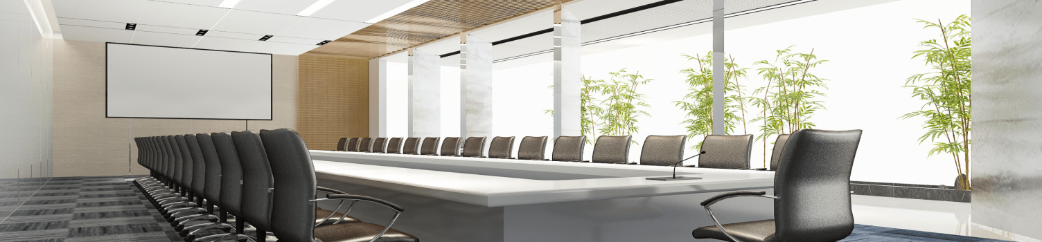 CEO Statement | Osotspa